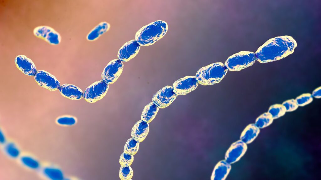 Chancro blando: definición, sintomas y tratamiento