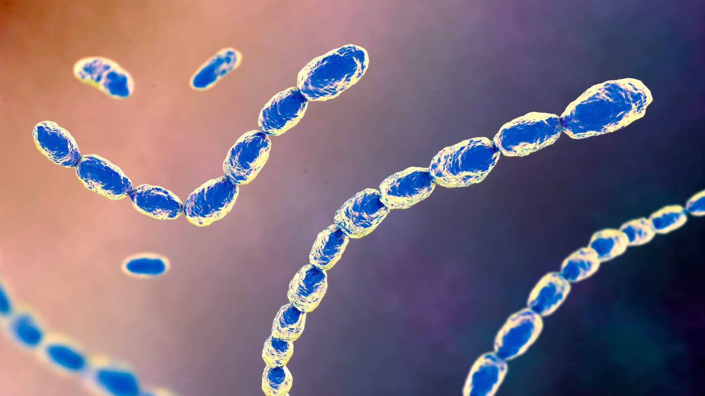 Tricomoniasis: causas, síntomas y tratamiento